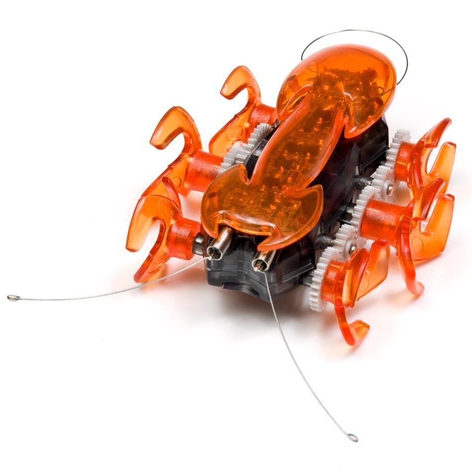 Hexbug Ant
