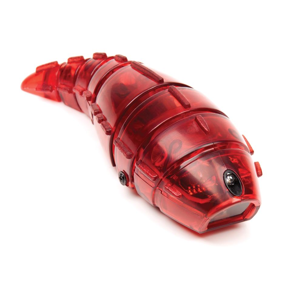 Hexbug Larva